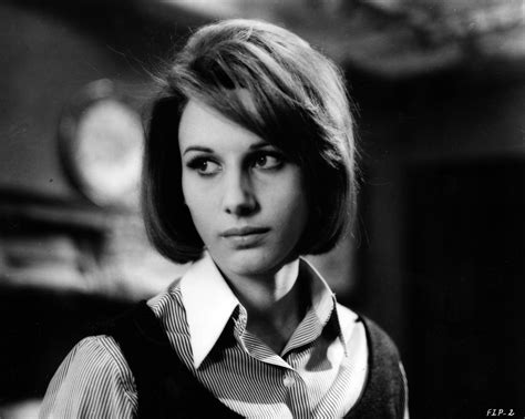 Barbara Pasquas Instagram Twitter And Facebook On Idcrawl