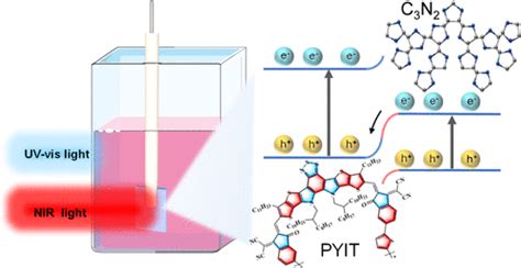 Near Infrared Light Driven Reversible Photoelectrochemical Bioassay By S Scheme All Polymer