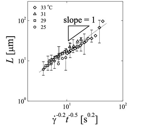 plot of the fcd size l as a function of the shear rate γ 4 and the
