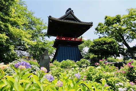 能護寺 ニッポン旅マガジン