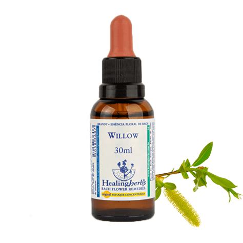 Willow 30ml Floral De Bach Flor De Jasmim