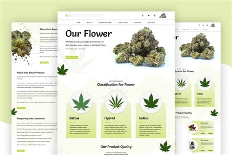 Create A Modern Website And Mobile App Ui Ux Design In Figma By Bitmate Studio Fiverr