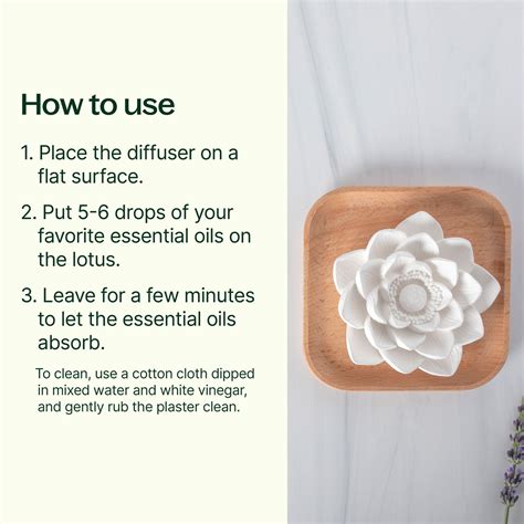 Passive Lotus Diffuser Plant Therapy