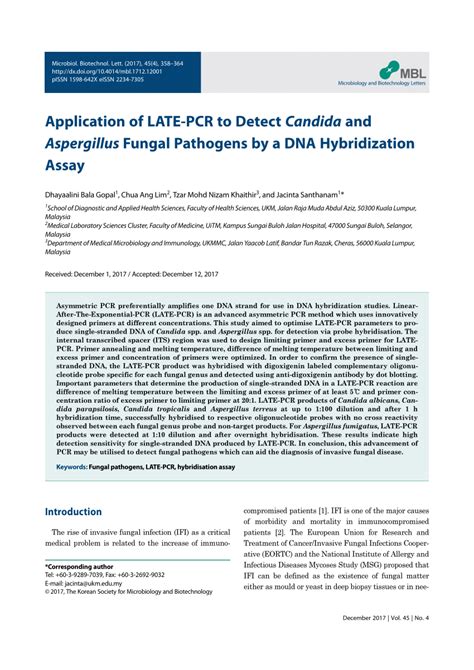 Pdf Application Of Late Pcr To Detect Candida And Aspergillus Fungal Pathogens By A Dna