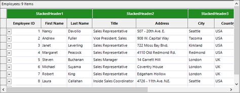 Grid Layout In Windows Forms Gridgrouping Control Syncfusion