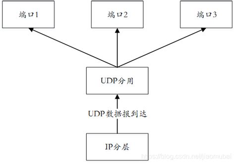 udp的首部格式 udp首部 csdn博客