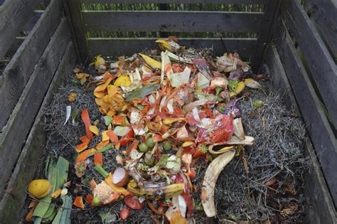 Three Useful Herbs Which Can Be Used As Natural Compost Activators And