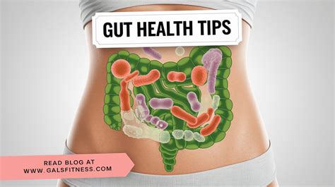 Gut Health Tips To Restore Gut Health Naturallyrestoring Gut Health Naturally
