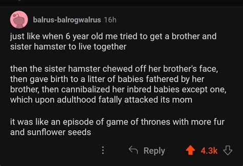 Korean Bbq Face Sitting Fart Fetish Rbrandnewsentence