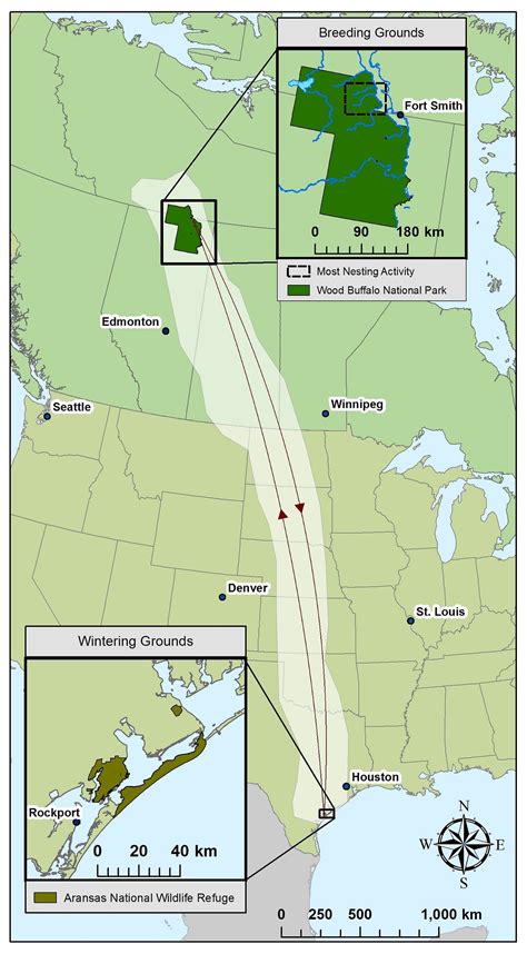 Whooping Crane Migration Route Following The Whooper Highway
