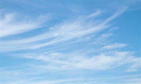 Cirrus Definition Und Bedeutung Collins Wörterbuch