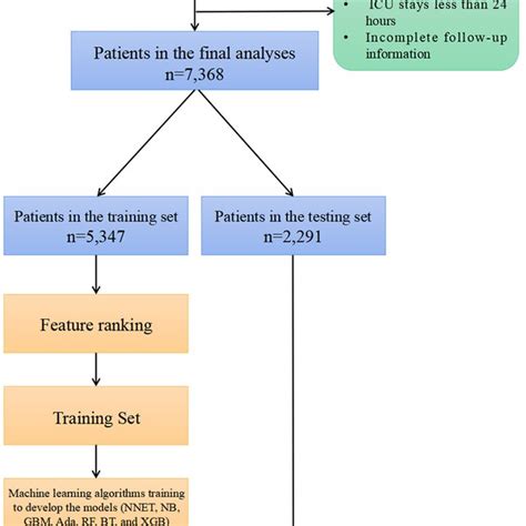 Overview Of The Methods Used For Data Extraction Training And