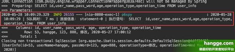 springboot mybatis plus使用详解18（结合p6spy进行sql性能分析）