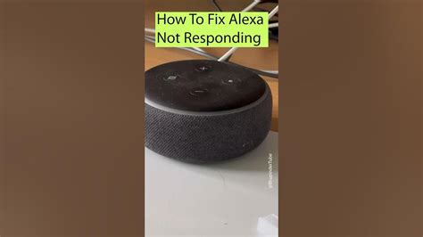 How To Fix Alexa Not Responding #alexa #echo #echodot - YouTube