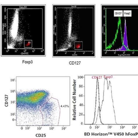 Consistency Of Expression Between Cd127 Low And Foxp3 Regulatory T Download Scientific Diagram