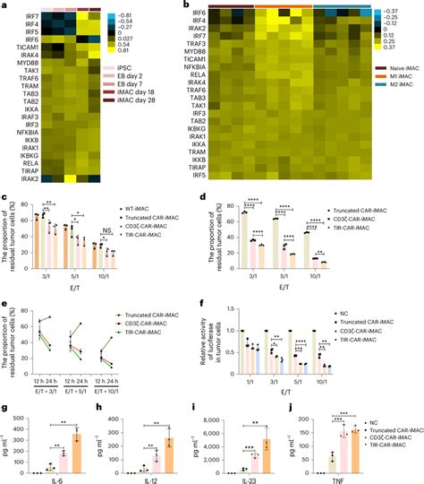 The Tir Domain Enhances Antitumor Potency Of Car Imacs A A Heatmap