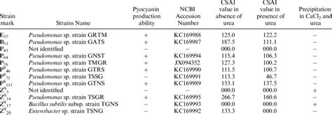 Identification Of Different Selected Bacterial Strains And Their Download Table