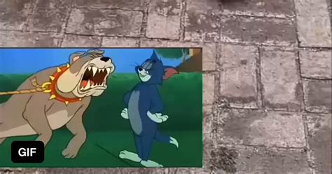 I Saw This Cartoon As A Kid Always Wondering If This Could Happen IRL