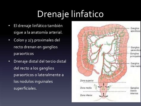Cirugia Colon Y Recto