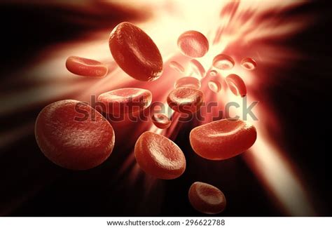 적혈구 스톡 일러스트 296622788