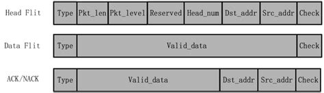 general structure of packet and flit in noc system download