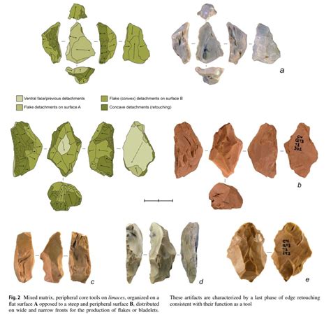 46 Convex Archaeology Events