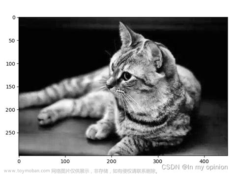 【opencv 直方图】 Toy模板网