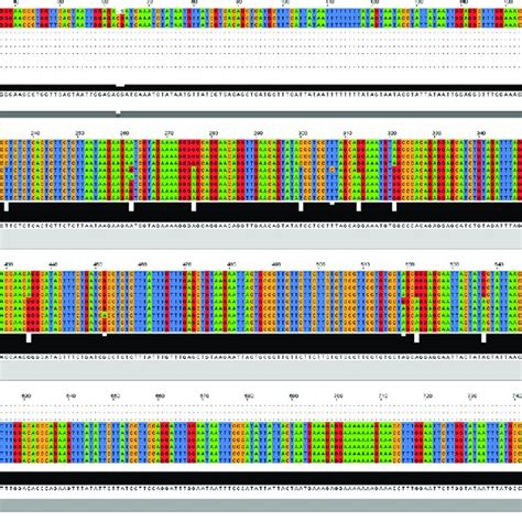 multiple dna sequence alignment of the coi gene fragment of rpw