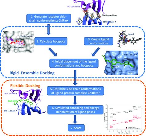 Flowchart Of The Flexible Docking Protocol Download Scientific Diagram