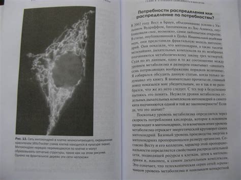 Книга: Митохондрии и смысл жизни. Энергия, секс, самоубийство - Ник ...