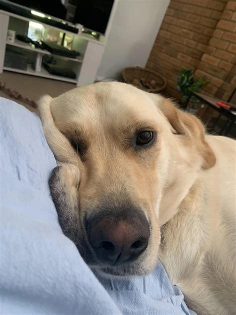 Arthur Doesnt Care If His Face Is Squashed As Long As He Gets To Cuddle His Mum Scrolller