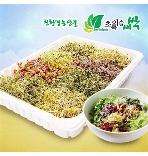 초록이슬새싹 새싹채소 450g 브로콜리 유채 콜라비 적무 배추 무공해식품 무농약 티몬
