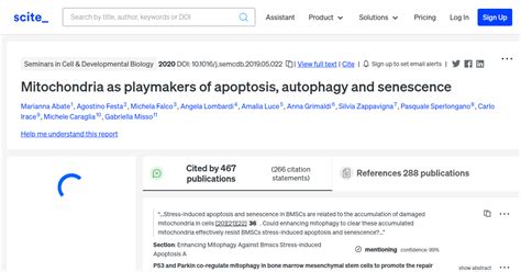 Mitochondria As Playmakers Of Apoptosis Autophagy And Senescence