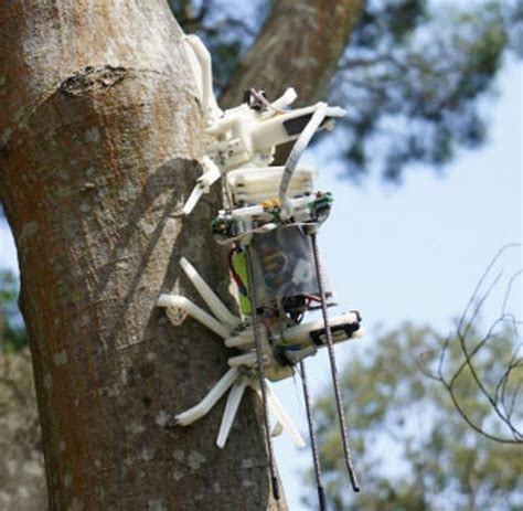 treebot a robot that climbs trees impact lab
