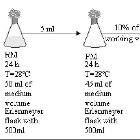 Schematic Flowsheet Of The Experimental Procedure Download Scientific Diagram