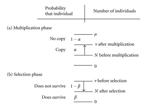 Sketch Of How Convolution Of A Binomial Distribution Is Applied To