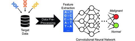 Application Of A Convolutional Neural Network For The Classification Of Download Scientific