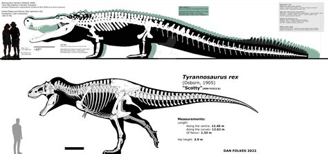 Does Enyone Know What These Are Rpaleontology