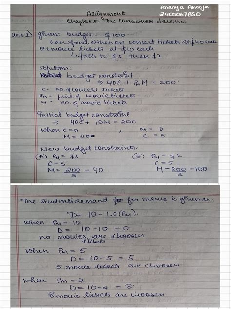 Numerical Assignment Pdf