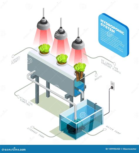 Hydroponic System Infographic Layout Stock Vector Illustration Of Information Growing 109996450