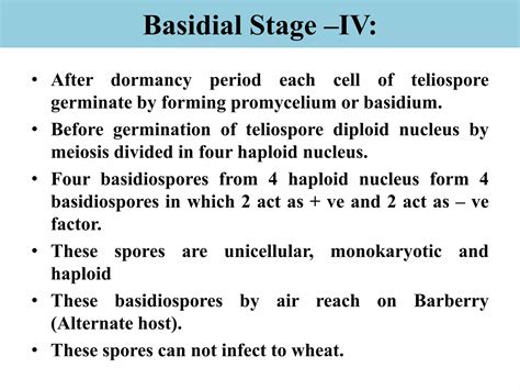 Life Cycle Of Pythium Albugo Erysiphe Claviceps Ustilao And Puccinia Fungi Pptx