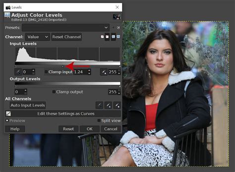 How To Edit A Photo In GIMP Steps Davies Media Design