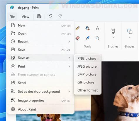 How To Put Two Pictures Side By Side In Windows 11 Artofit