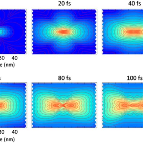 Logarithmic Plots Of The Exciton Population At Selected Times During