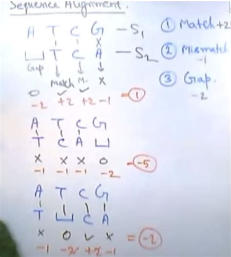 Jacob Cho S Data Science Shomu S Biology Bioinformatics Part Sequence A Biology Data