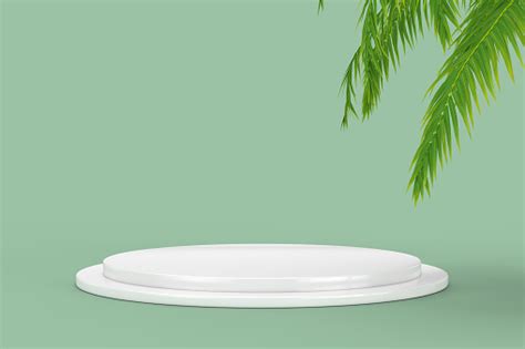 무대 연단 또는 녹색 열대 야자수 잎이 있는 쇼케이스 3d 렌더링 0명에 대한 스톡 사진 및 기타 이미지 0명 3차원 형태