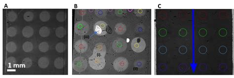 Multimodal Analytical Platform On A Multiplexed Surface Plasmon Resonance Imaging Chip For The