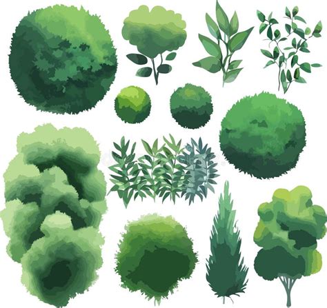 Amazing Trees Bushes Shrubs Top View Vector Stock Vector Illustration Of Spring Silhouette