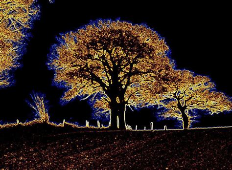 Glowing Edges Computer Art Color Of Life Glow Edges Dance Dancing Sparkle