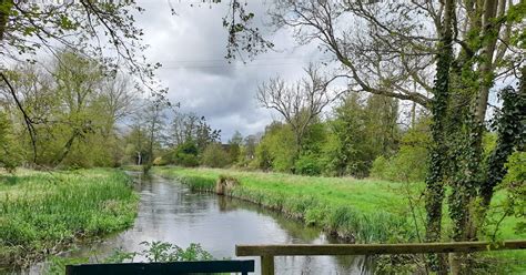 River Kennet Avington Estate